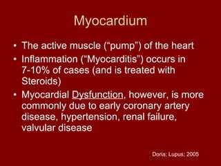 Lupus and cardiovascular disease | PPT