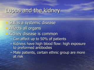 Lupus and your kidneys | PPT | Medical Health