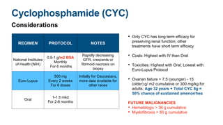 Lupus Nephritis Guideline Review 2022 | PPTX