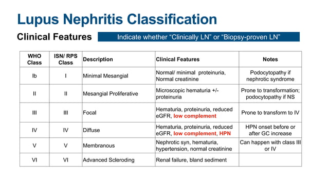 Lupus Nephritis Guideline Review 2022