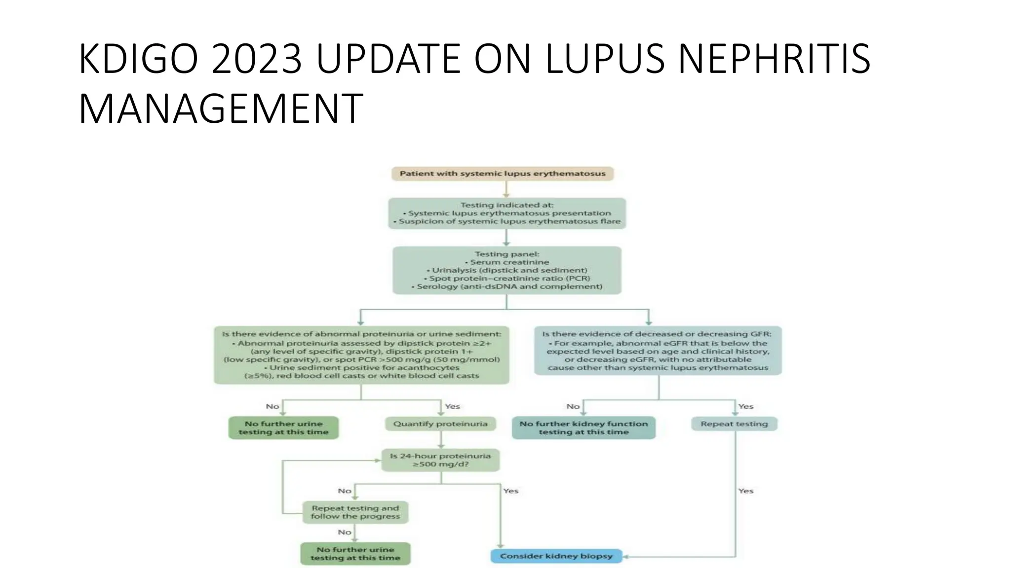LUPUS NEPHRITIS MANAGEMENT.pptx