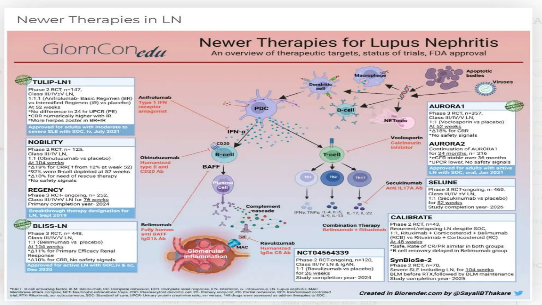 LUPUS NEPHRITIS MANAGEMENT.pptx