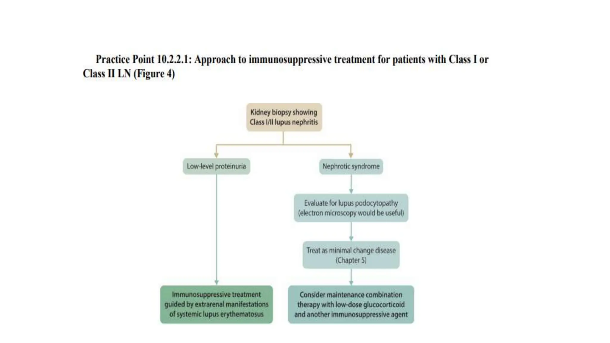 LUPUS NEPHRITIS MANAGEMENT.pptx