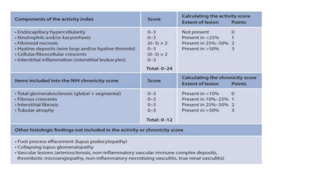 LUPUS NEPHRITIS MANAGEMENT.pptx | Endocrine and Metabolic Diseases ...