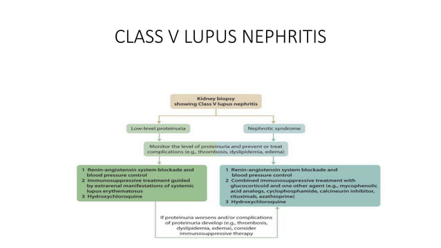 LUPUS NEPHRITIS MANAGEMENT.pptx | Endocrine and Metabolic Diseases ...