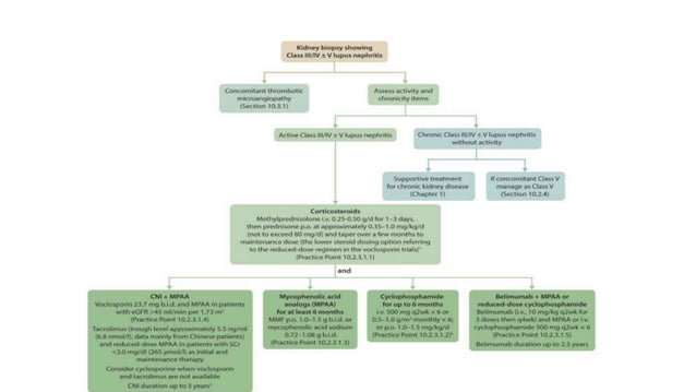 LUPUS NEPHRITIS MANAGEMENT.pptx | Endocrine and Metabolic Diseases ...
