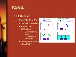 Lupus Presentation.ppt