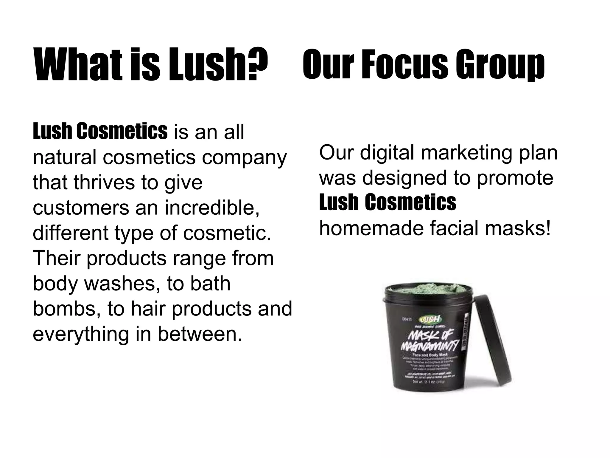 Lush Presentation, ADV 420 Final | PPTX