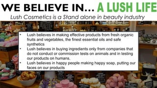 Lush Marketing Sales Expansion Project | PPT | Skin Care | Beauty