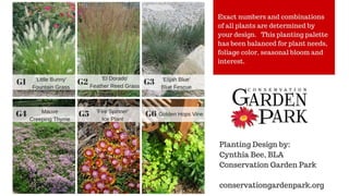 Lush with Less Planting Design | PPTX