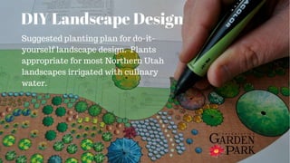 Lush with Less Planting Design | PPTX