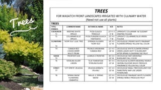 Lush with Less Planting Design | PPTX