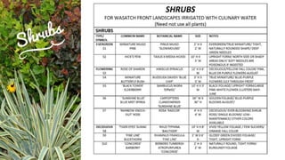 Lush with Less Planting Design | PPTX