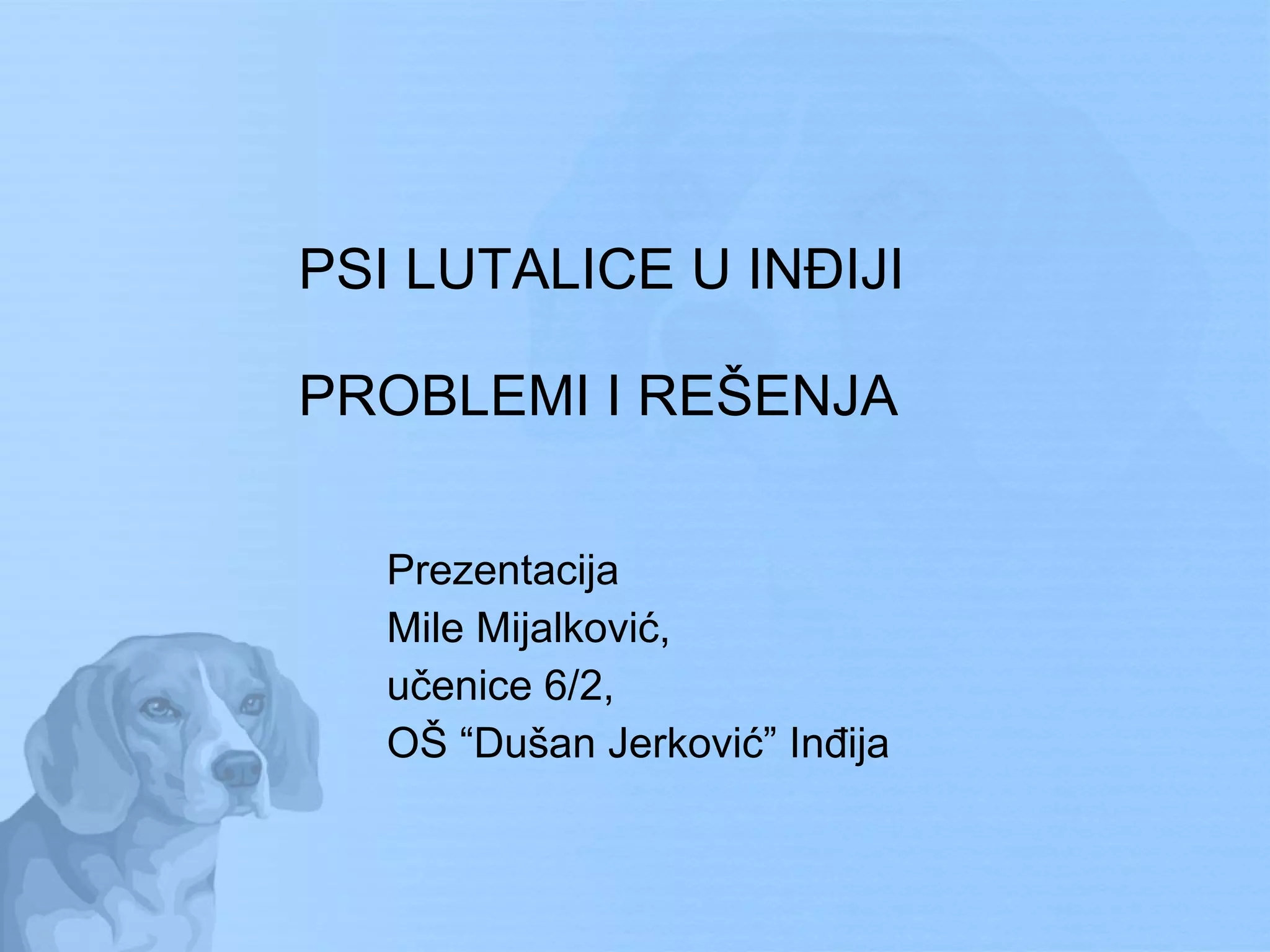Lutalice | PPT