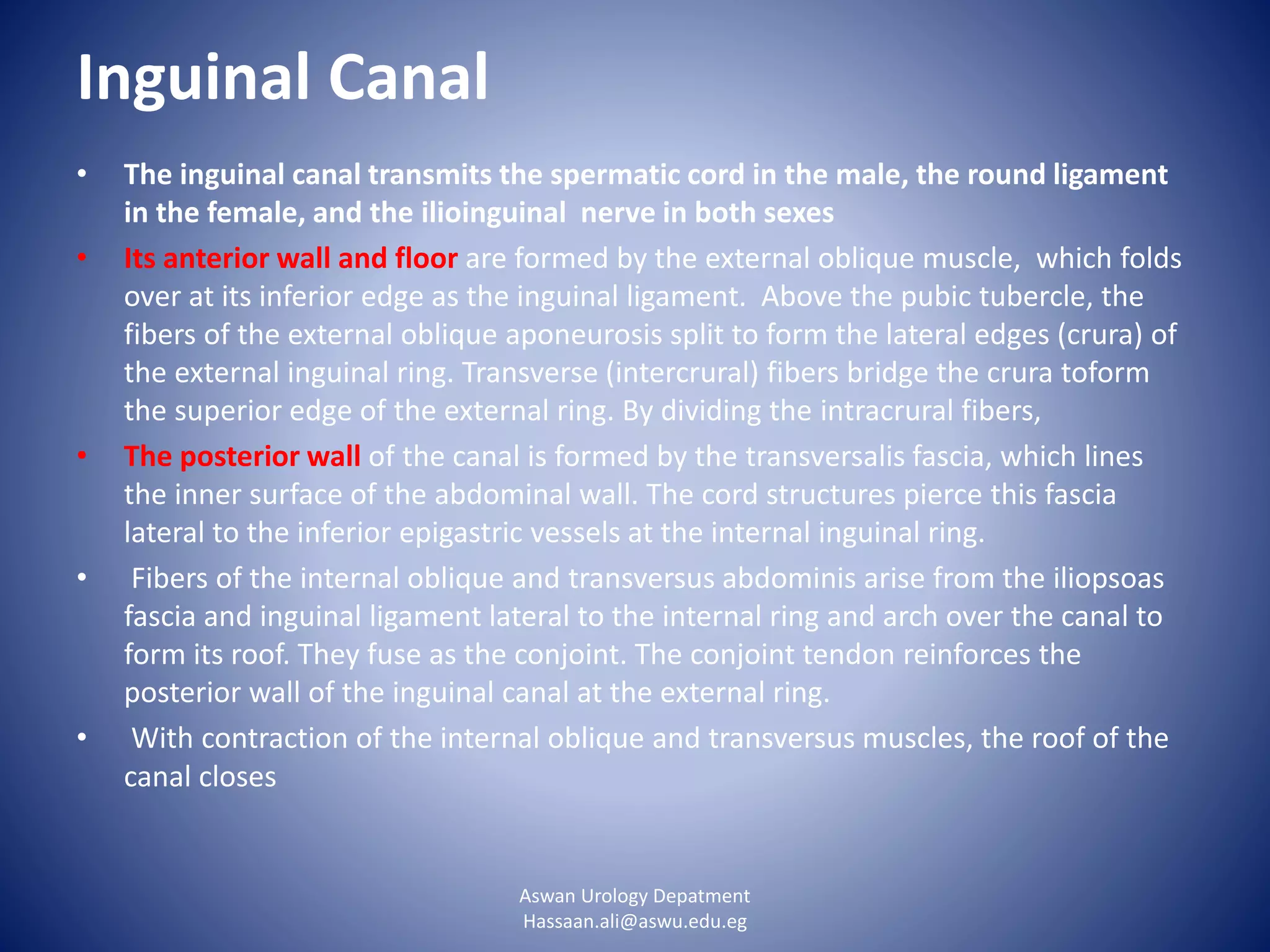 Lower urinary tract anatomy | PPTX