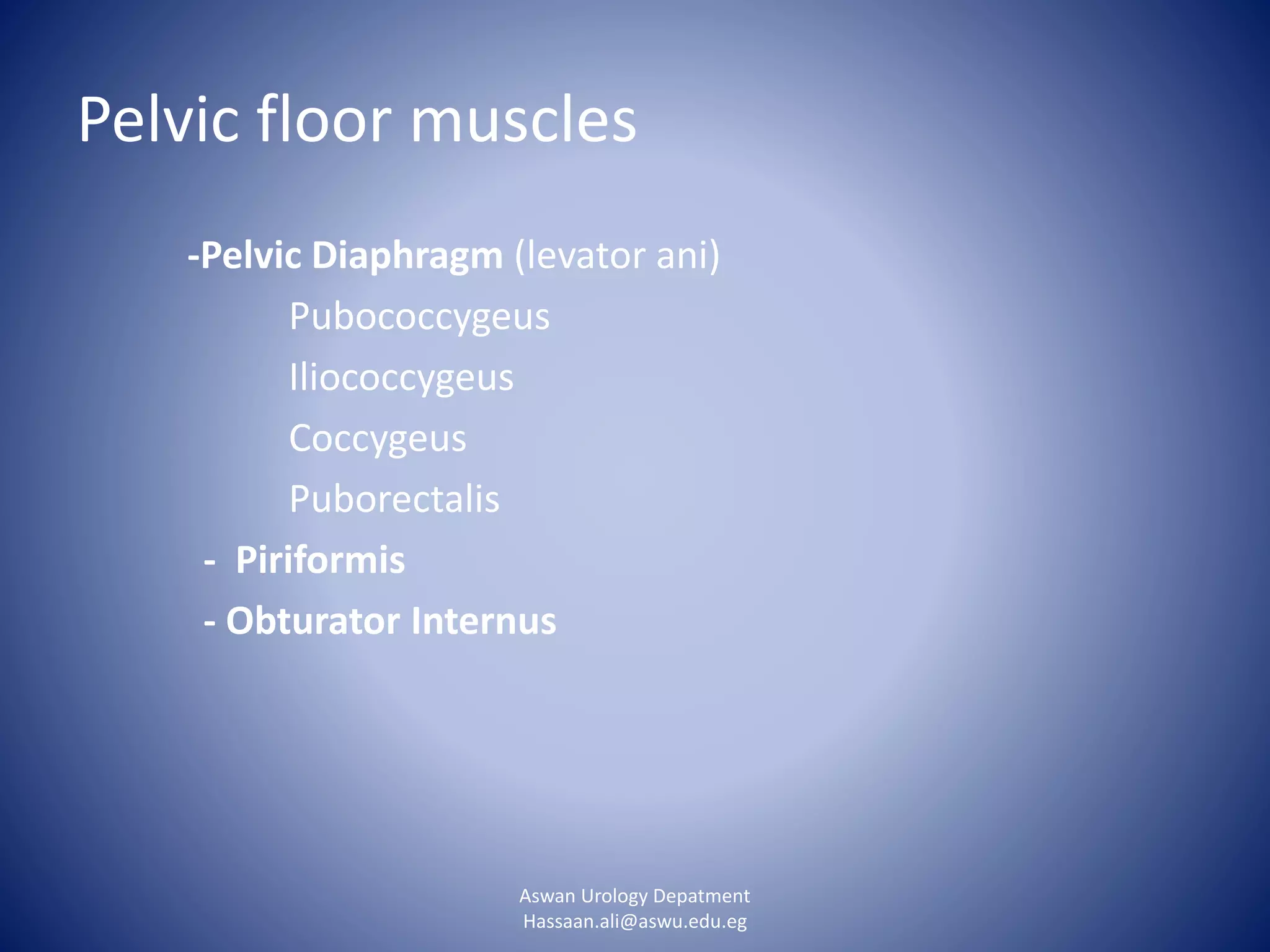 Lower urinary tract anatomy | PPTX