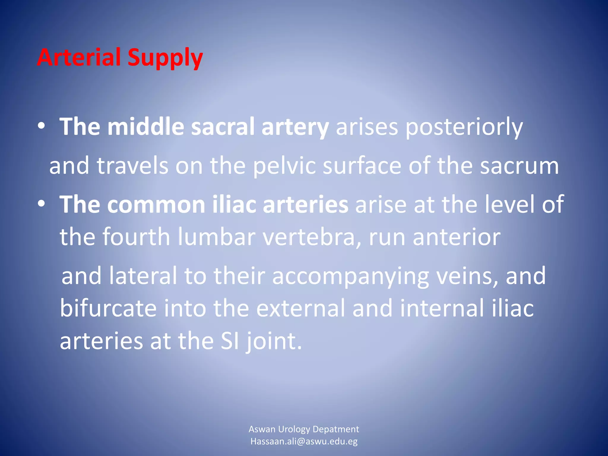 Lower urinary tract anatomy | PPTX