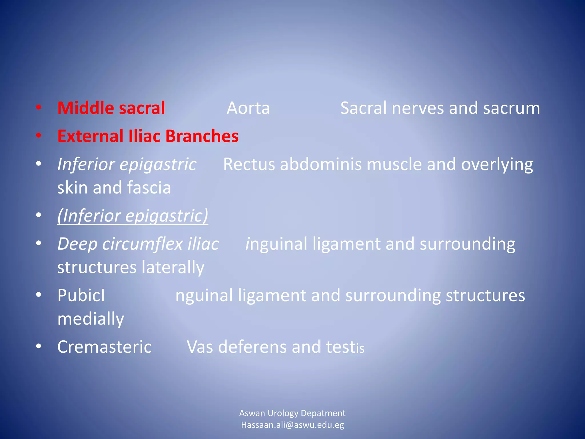 Lower urinary tract anatomy | PPTX