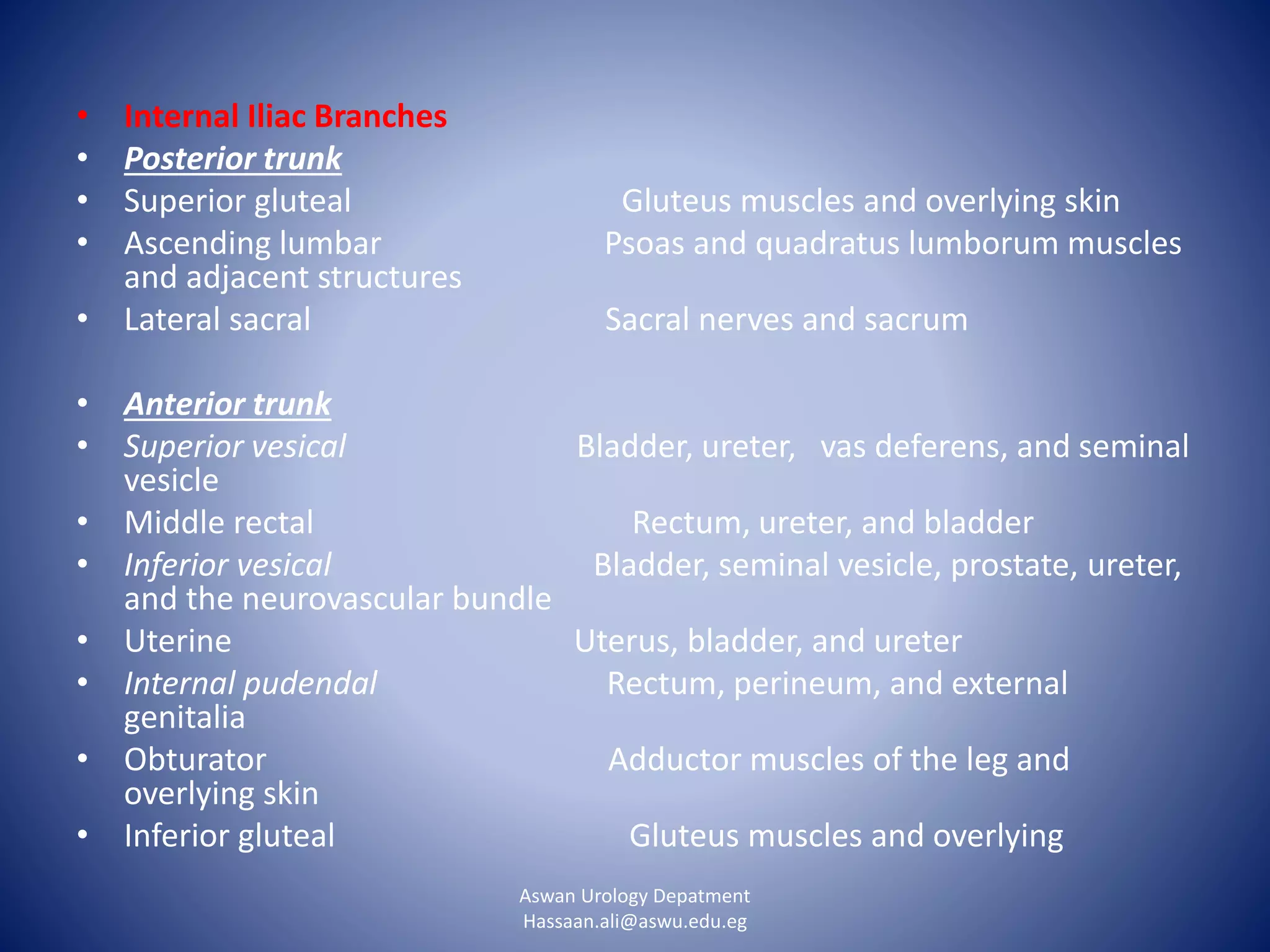 Lower urinary tract anatomy | PPTX