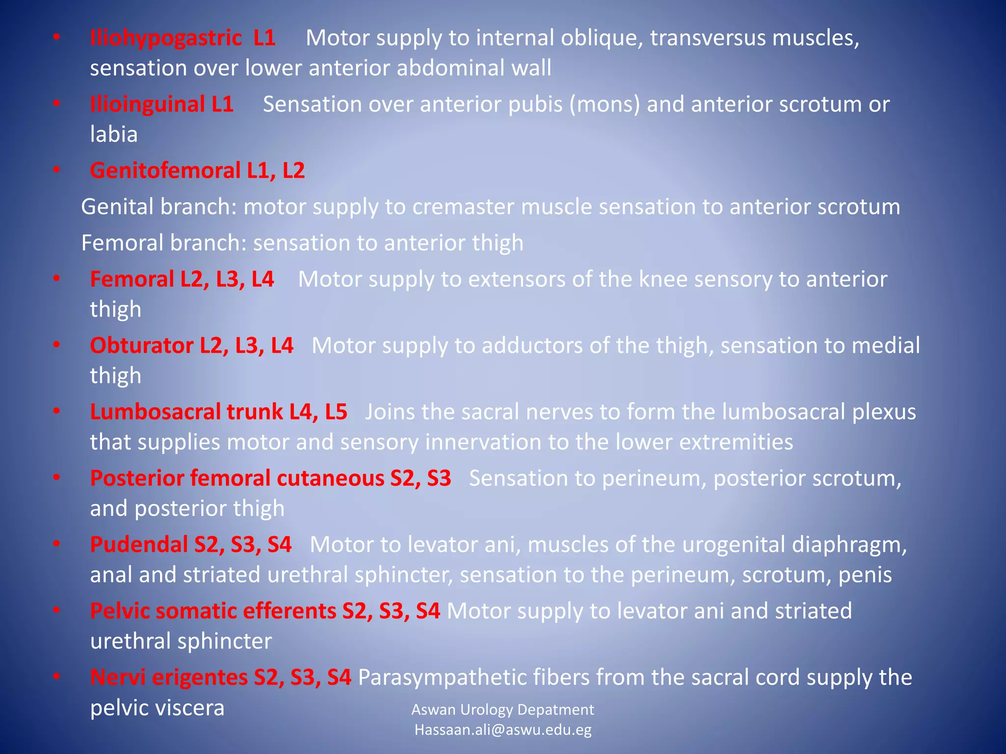 Lower urinary tract anatomy | PPTX