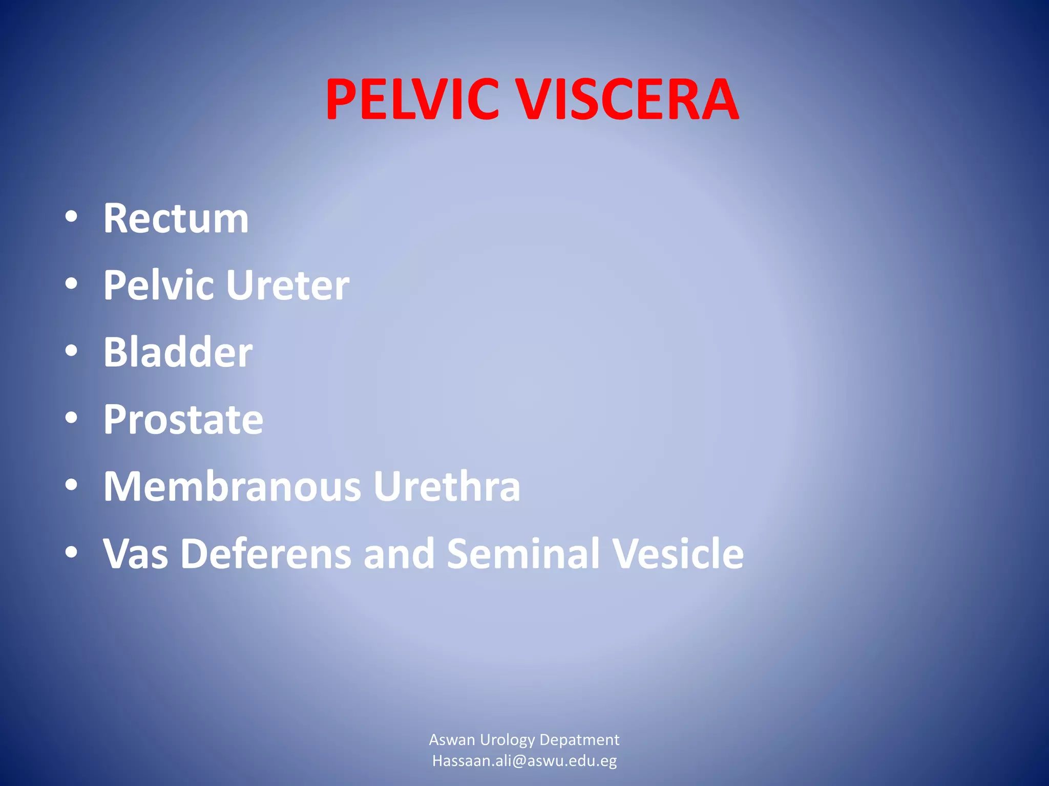 Lower urinary tract anatomy | PPTX