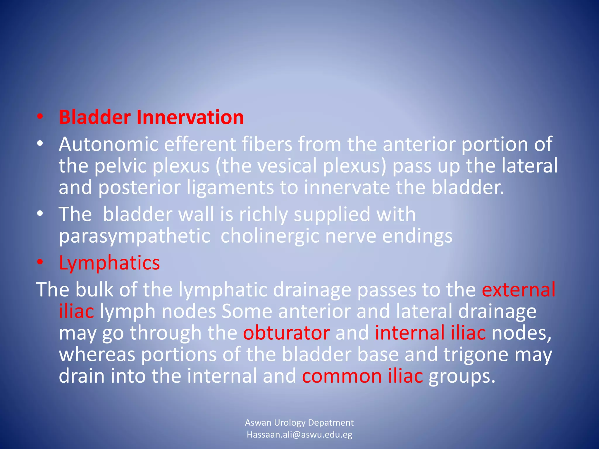 Lower urinary tract anatomy | PPTX
