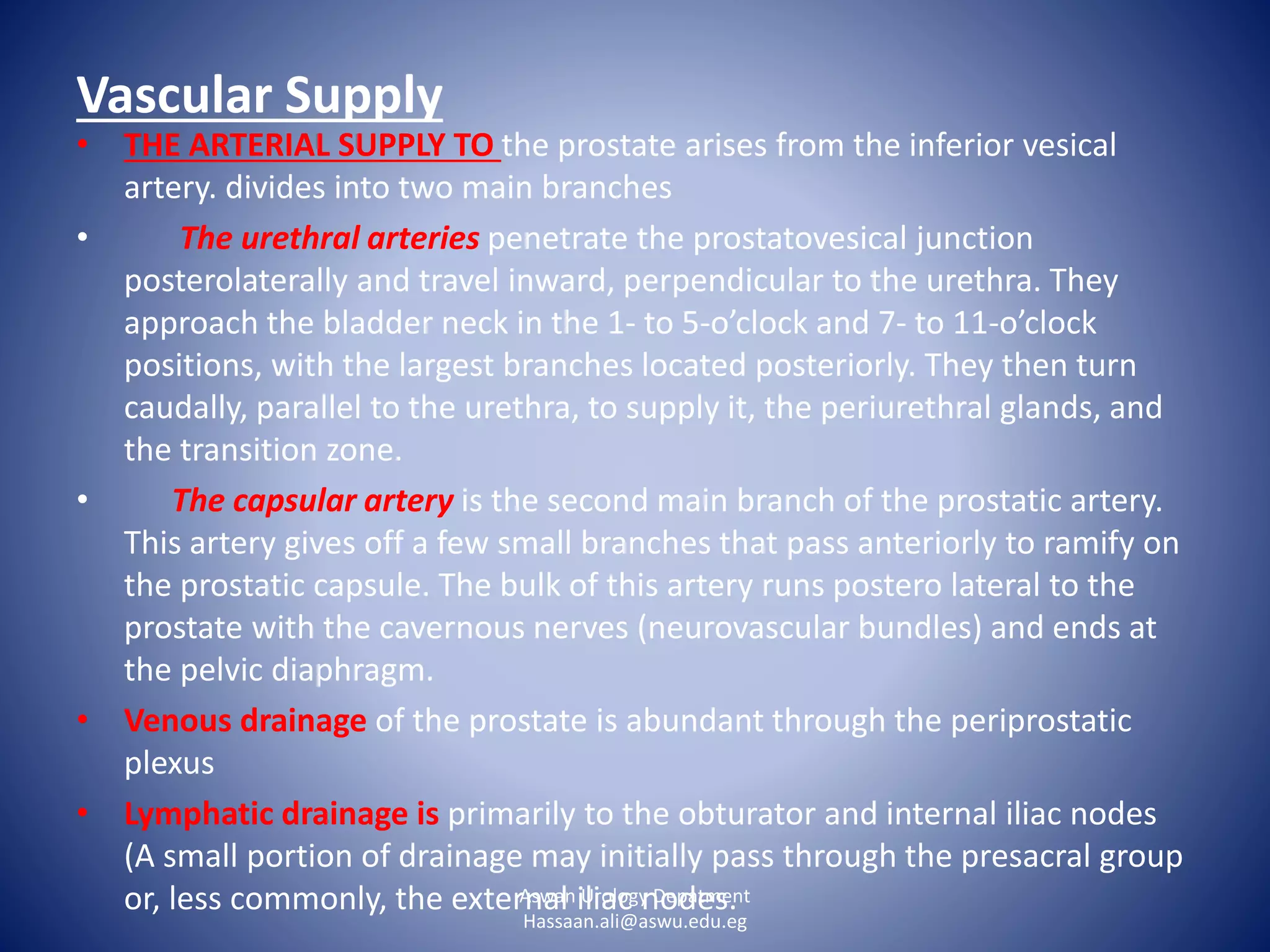 Lower urinary tract anatomy | PPTX