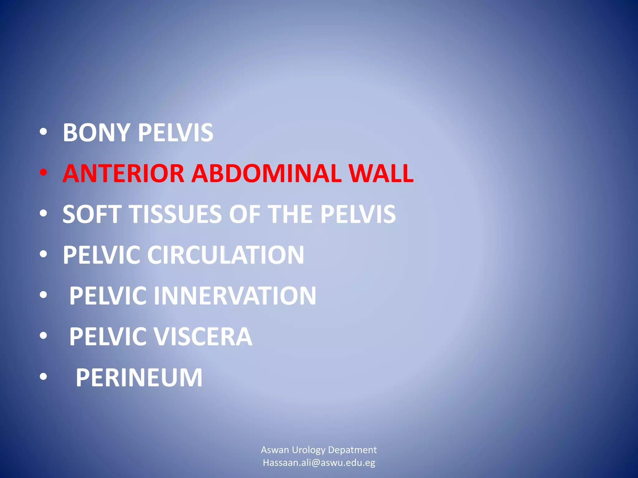Lower urinary tract anatomy | PPTX