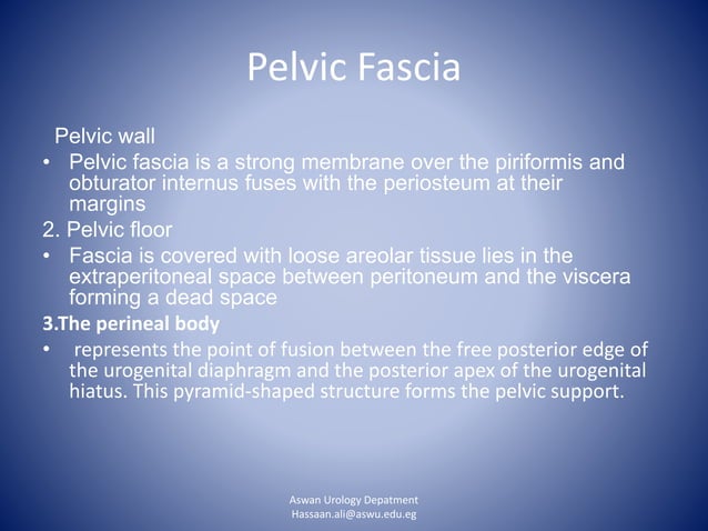 Lower urinary tract anatomy | PPTX