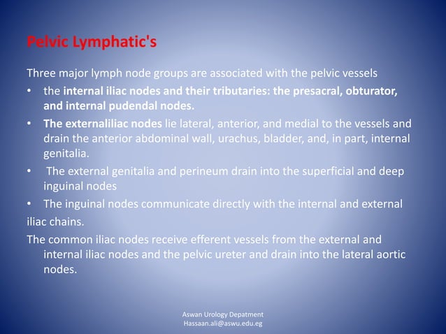 Lower urinary tract anatomy | PPTX