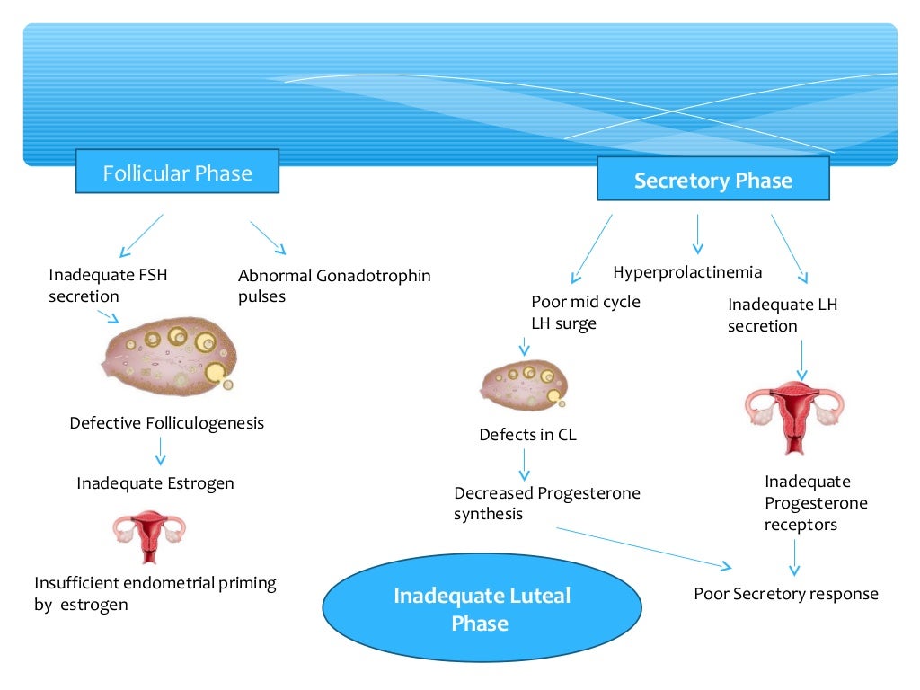 Luteal phase support in art - revisited