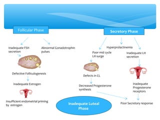 Luteal phase support in art - revisited | PPT