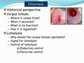 Luteolysis | PPTX