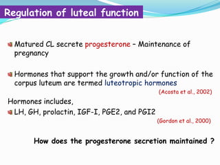Luteolysis | PPTX
