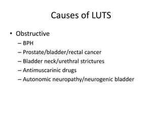 Lutsbphcarcinomaprostatelowerurinarytract | PPT