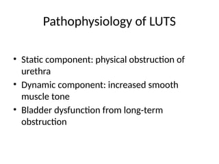 LUTS_in_BPH_Etiology_Presentation_v2.pptx
