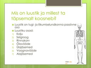 Luude kasv ja soodne toitumine | PPTX