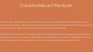 Luvissolos trabalho de colegio agricolino (1).pdf