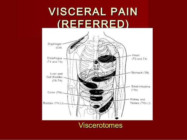 Lu v overview of pain