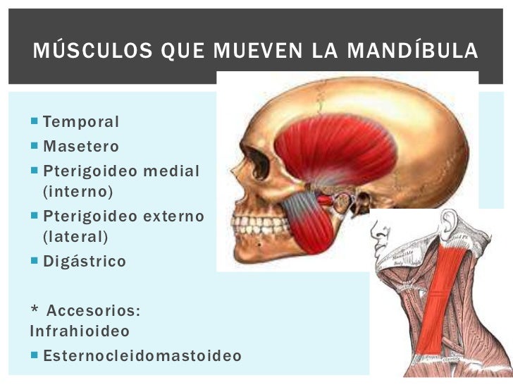 Luxación y subluxación temporomandibular