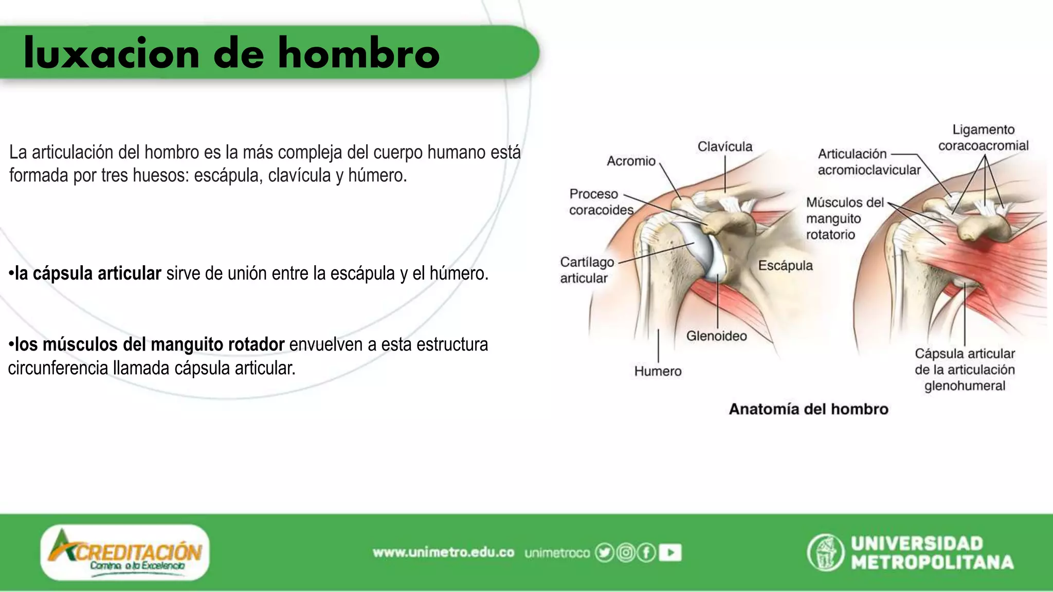 Luxacion De Hombro Pptx