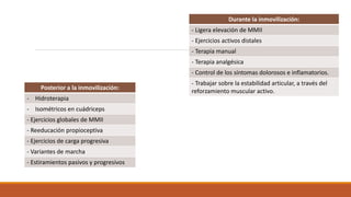 Luxaciones, esguinces, fracturas trauma y fisioterapia | PDF