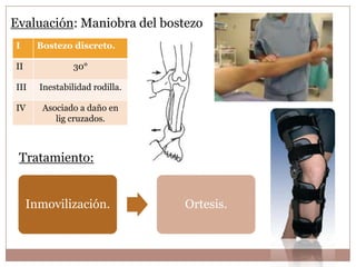 Patología de rodilla: Meniscos y Ligamentos. | PPTX