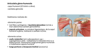 Luxatia scapula-humerala.pptx