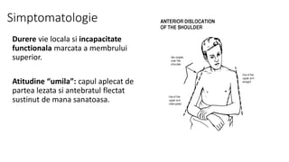Luxatia scapula-humerala.pptx