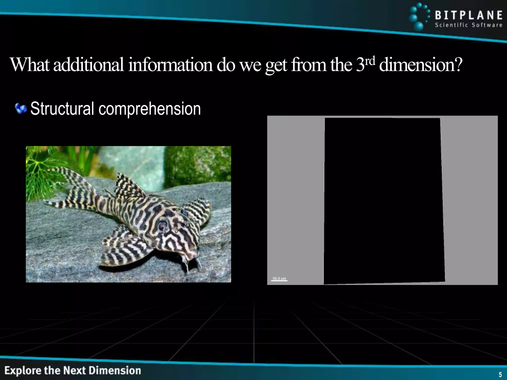 IMARIS - a comprehensive image processing toolbox | PPT
