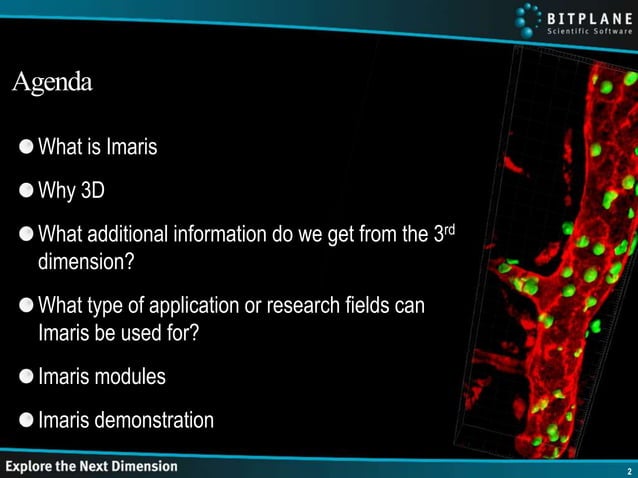 IMARIS - a comprehensive image processing toolbox | PPT