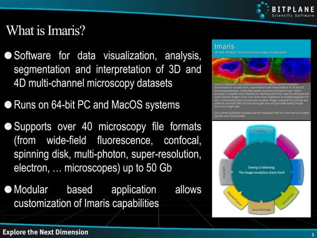 IMARIS - a comprehensive image processing toolbox | PPT