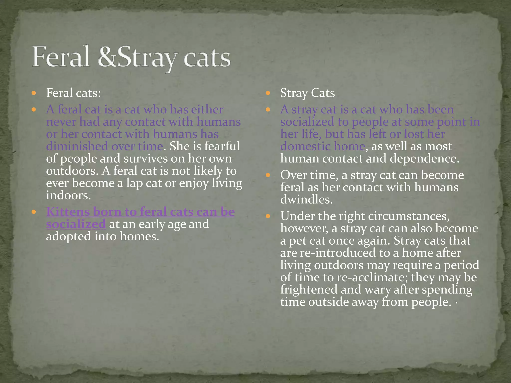 Luyue chai ENG 107 | PPT