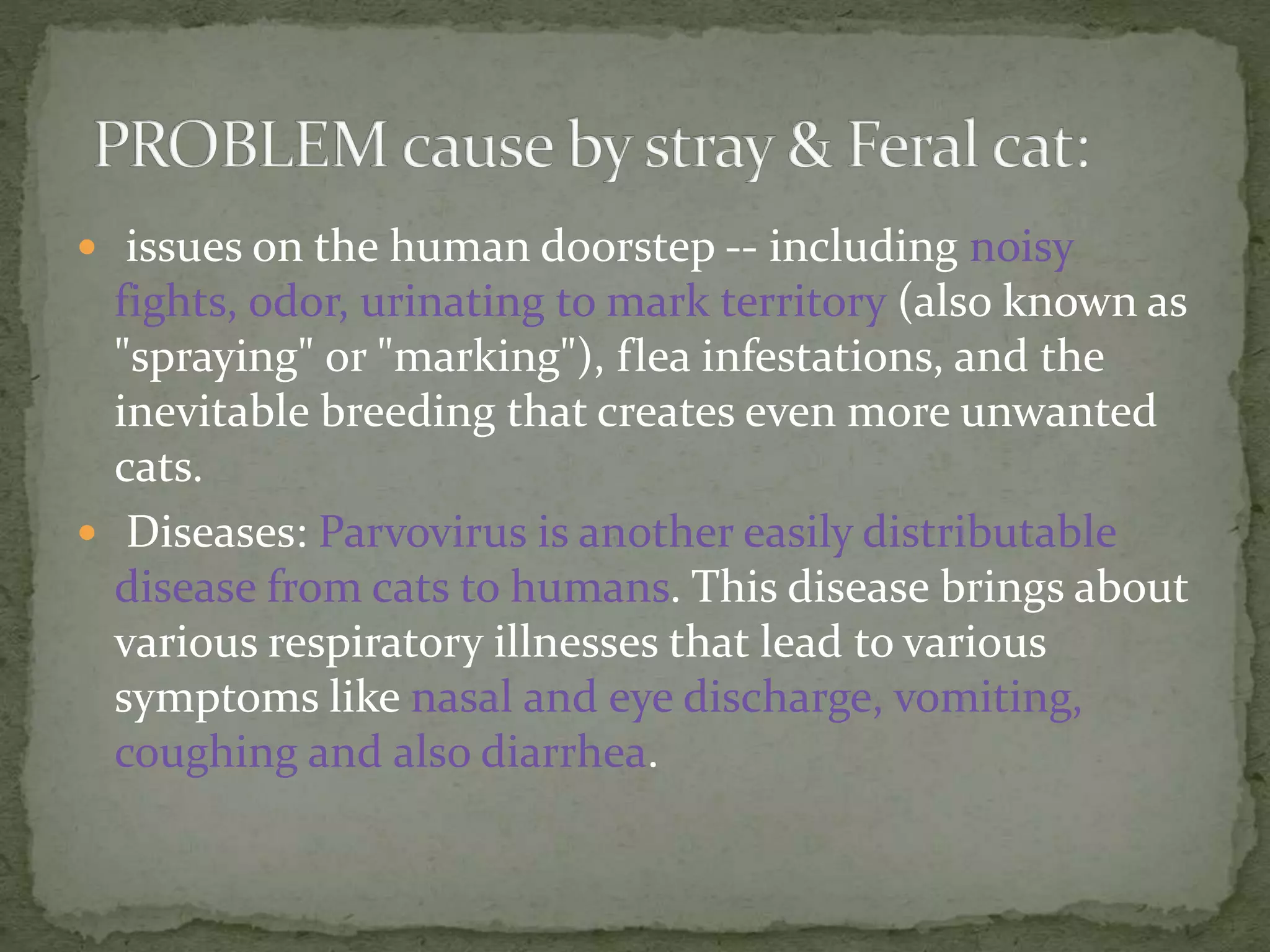 Luyue chai ENG 107 | PPT